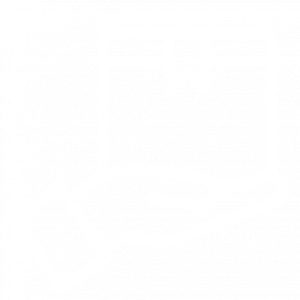 Essen Electronics – Electronic Services